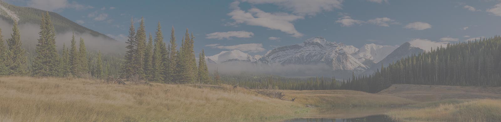 Loaders - Stealth Equipment